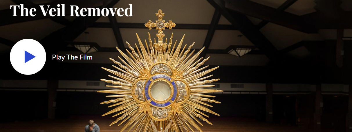 The Veil Removed - Film - CathFamily